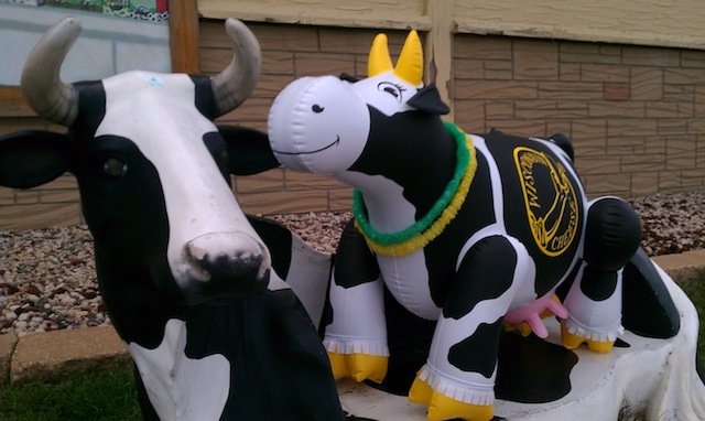 Lexxy Cow At The Cow Pie On Our Cheesehead Travels | Cheeseheads: The ...