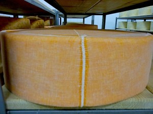 Henning’s Cheese: Peppercorn Cheddar To Die For! | Cheeseheads: The ...