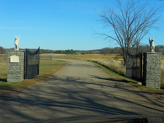 Chateau St. Croix & The Cheesehead White Wine | Cheeseheads: The ...