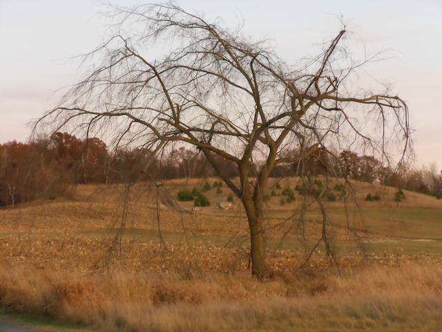 Chateau St. Croix & The Cheesehead White Wine | Cheeseheads: The ...