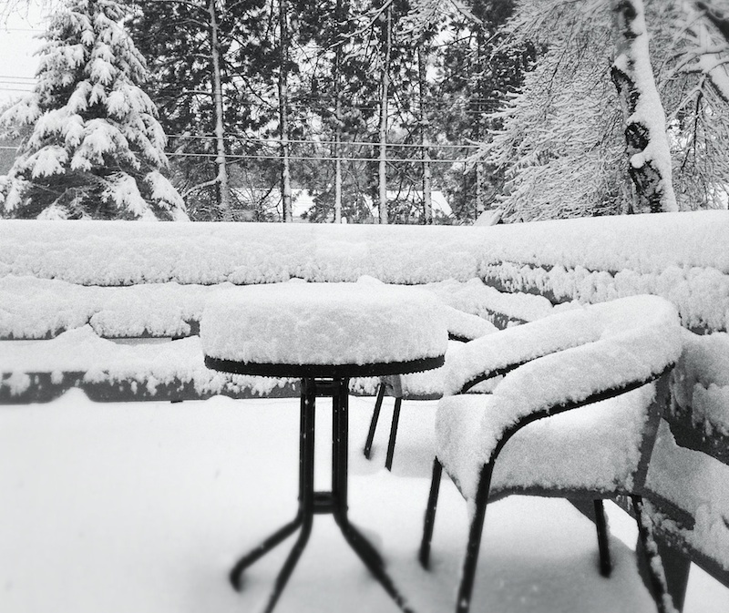 A Snow Day In May | Cheeseheads: The Documentary