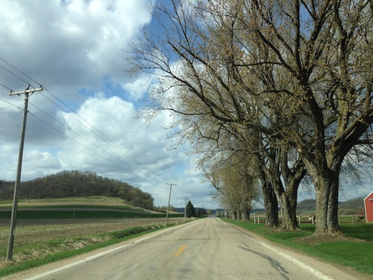 Driving The Driftless | Cheeseheads: The Documentary